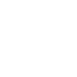 inspection-icon-500-white | Inspection Systems