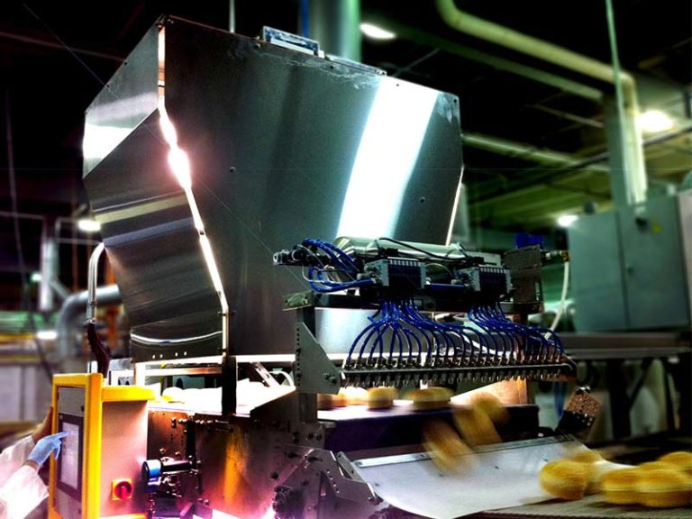 In-Line Vision & Rejection System | New Zealand